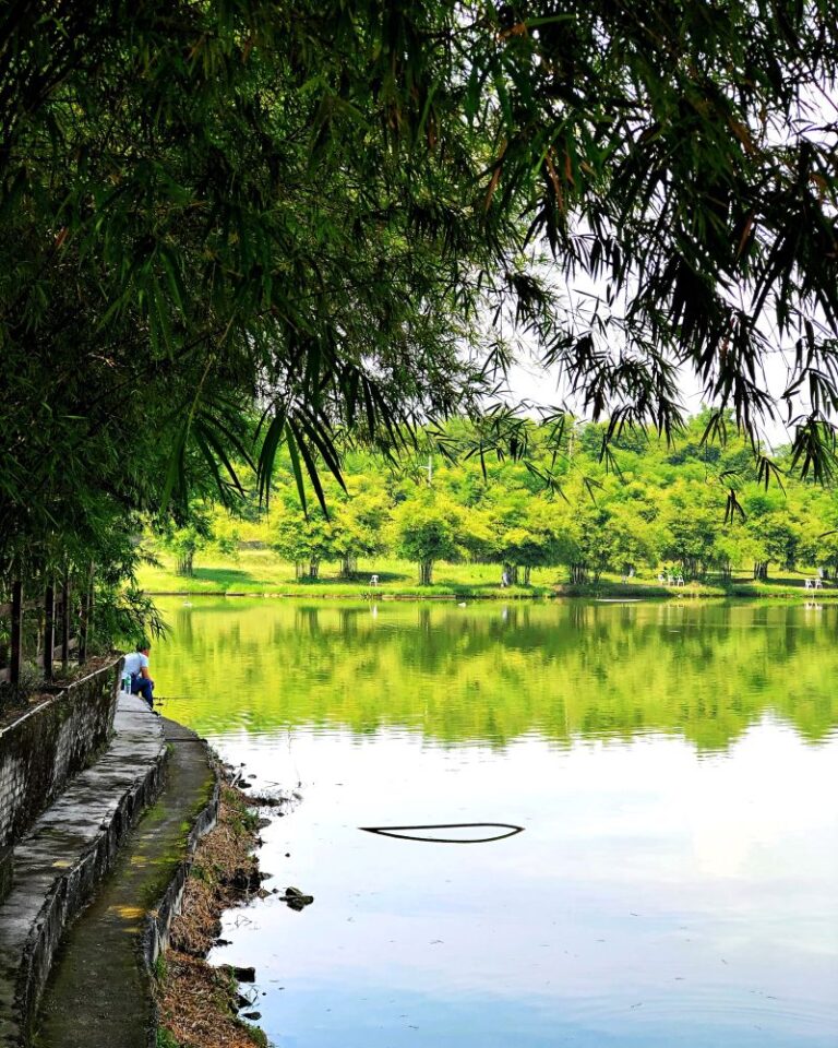 25 Best Things To Do In Selangor, Malaysia - The Go Guy