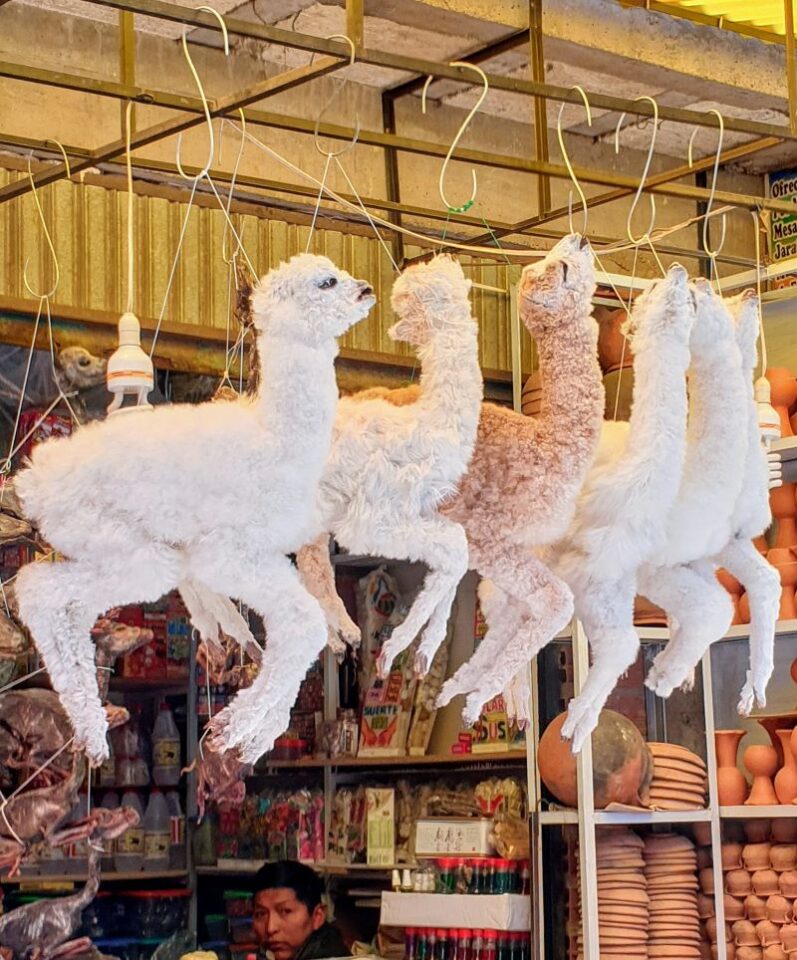 25 Best Things To Do In La Paz, Bolivia - The Go Guy