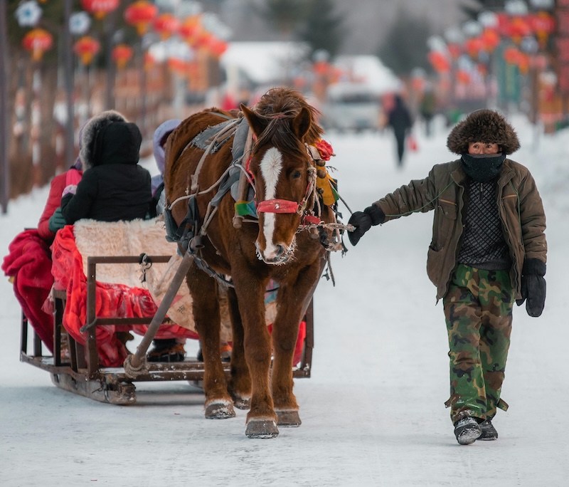 The Dos and Don'ts of Visiting Harbin, China: A Comprehensive Guide ...